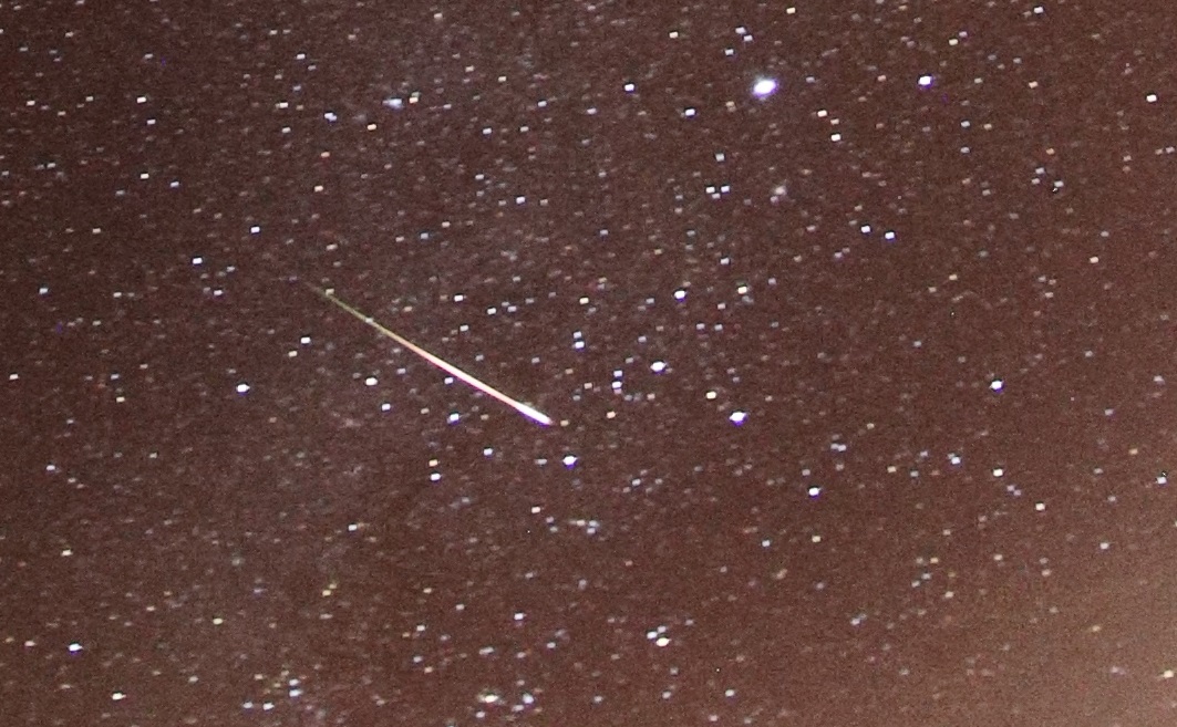 No 2022 Leonid outburst detected | IMO